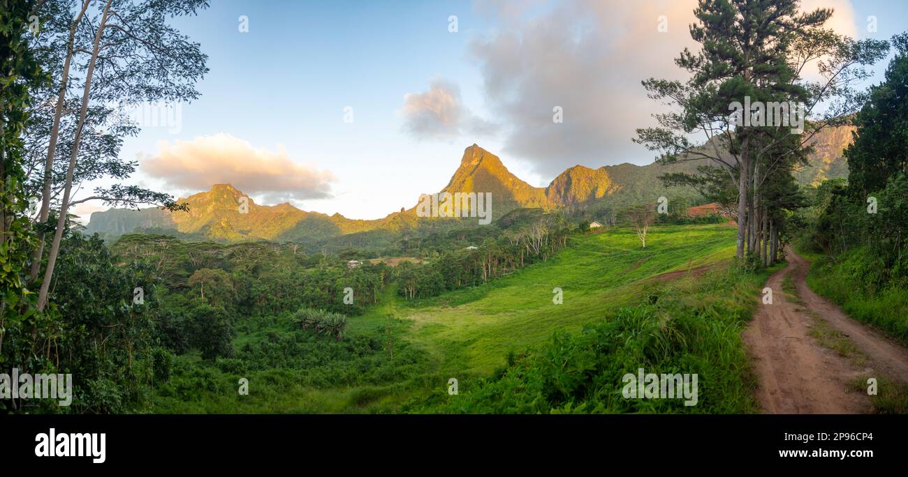 Tahiti island nature landscape, French Polynesia Stock Photo - Alamy