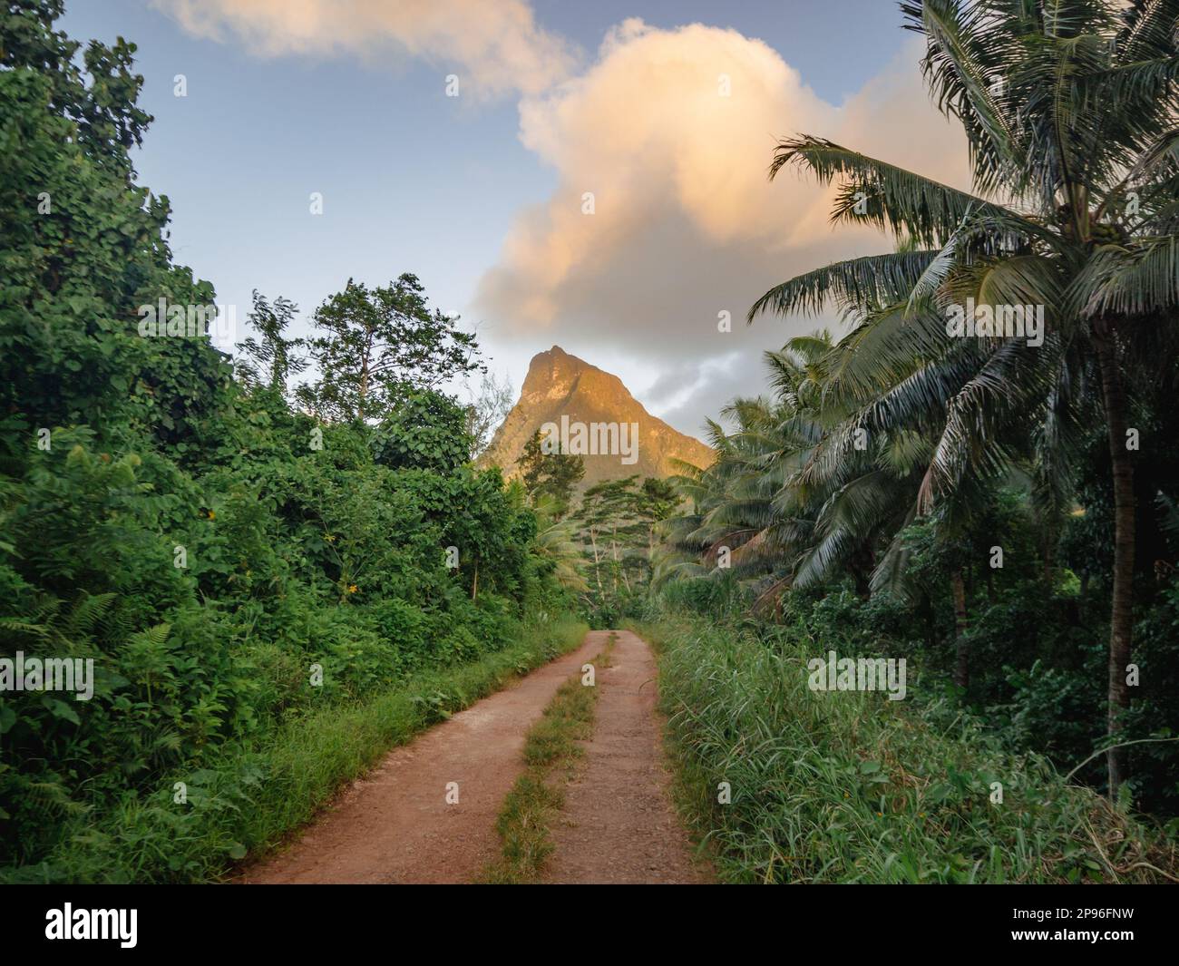 Tahiti island nature landscape, French Polynesia Stock Photo - Alamy