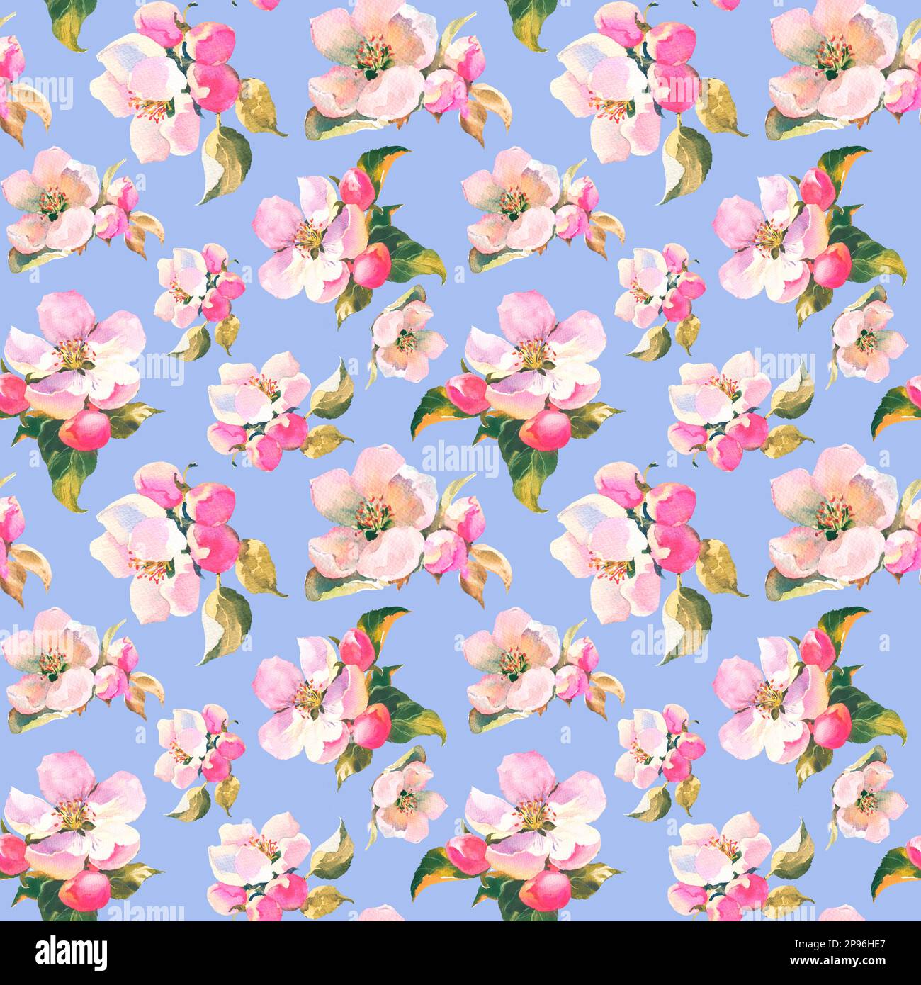 Seamless pattern with watercolor illustrations of apple flowers on blue ...