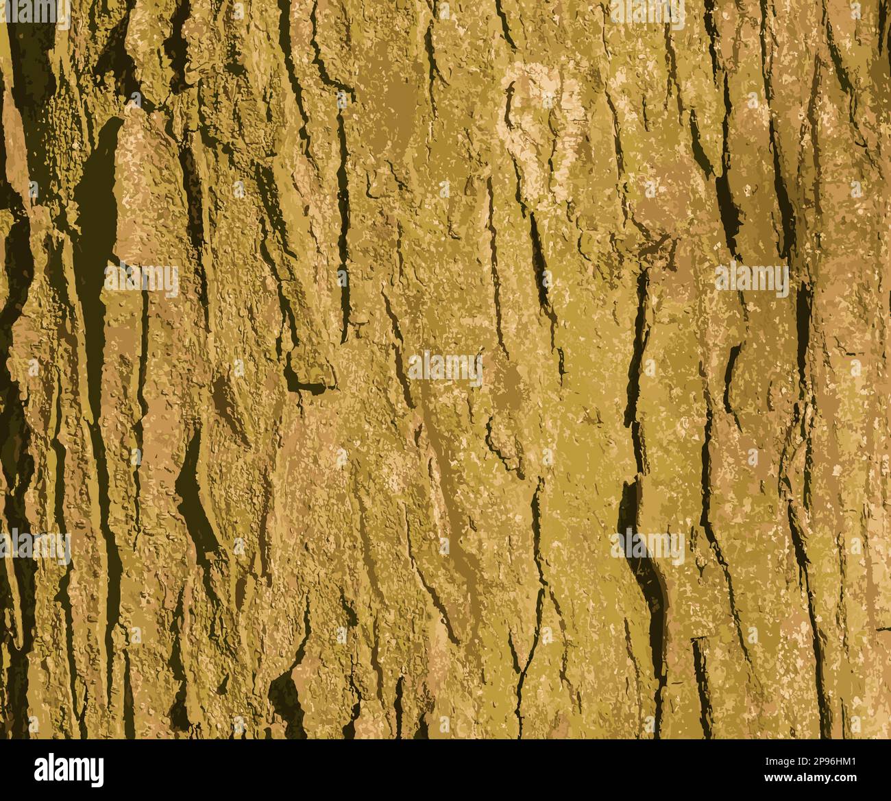 Realistic illustration of a background, texture of brown acacia bark ...