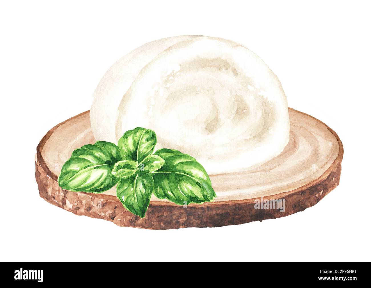 Mozzarella soft cheese with fresh basil. Hand drawn watercolor ...
