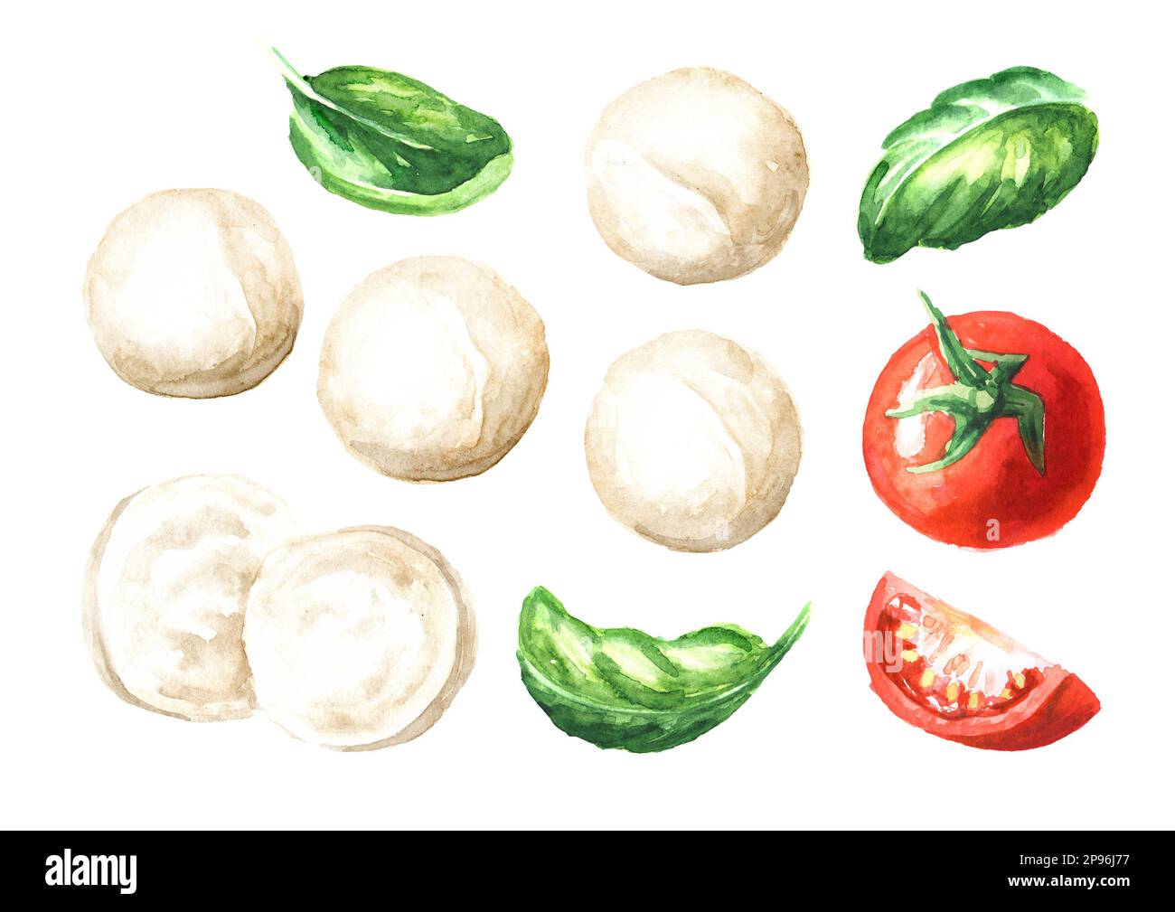 Mozzarella soft cheese with tomatoes and basil set. Hand drawn ...