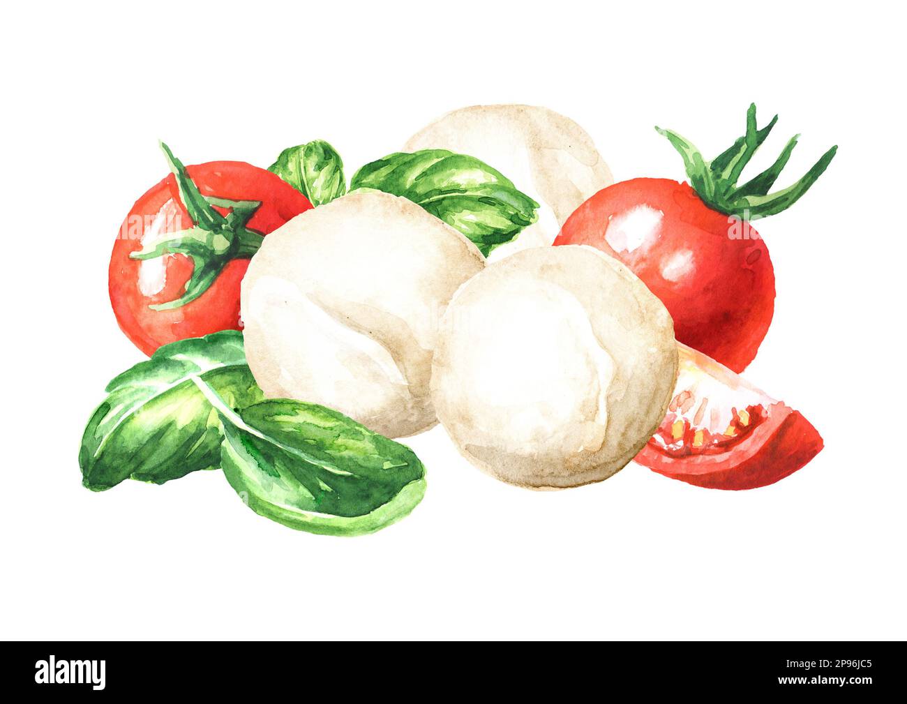 Mozzarella soft cheese with tomatoes and basil. Hand drawn watercolor ...