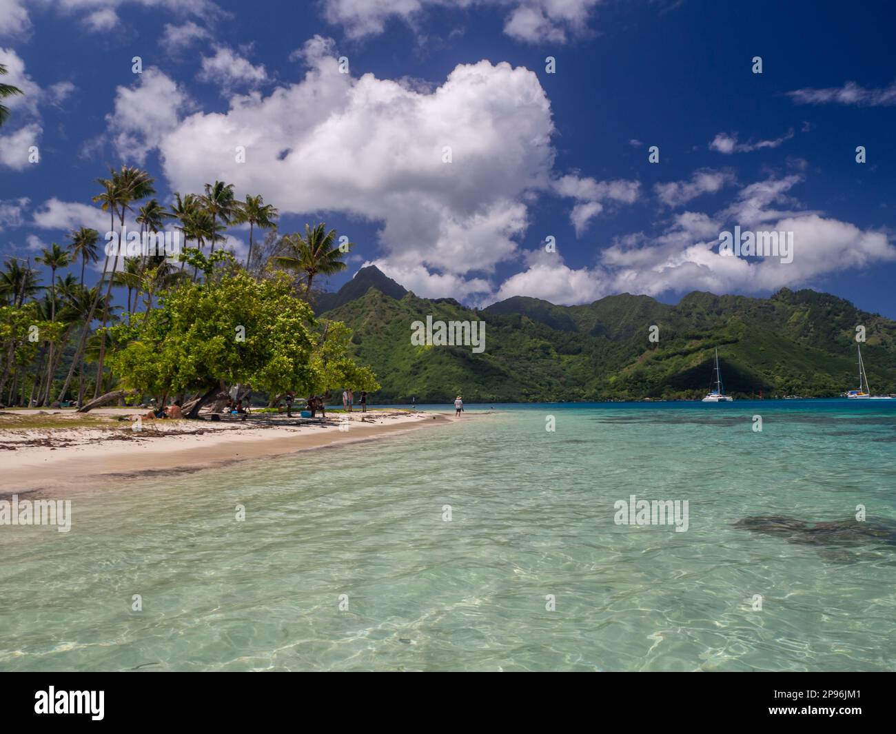 Tahiti island nature landscape, French Polynesia Stock Photo - Alamy