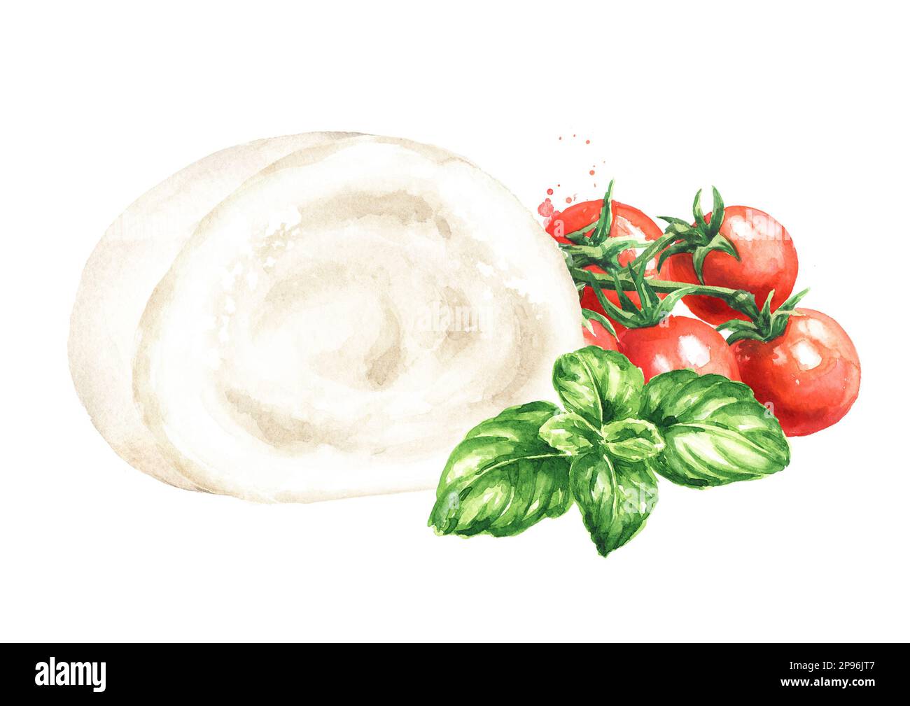 Mozzarella soft cheese with tomatoes anf fresh basil. Hand drawn ...