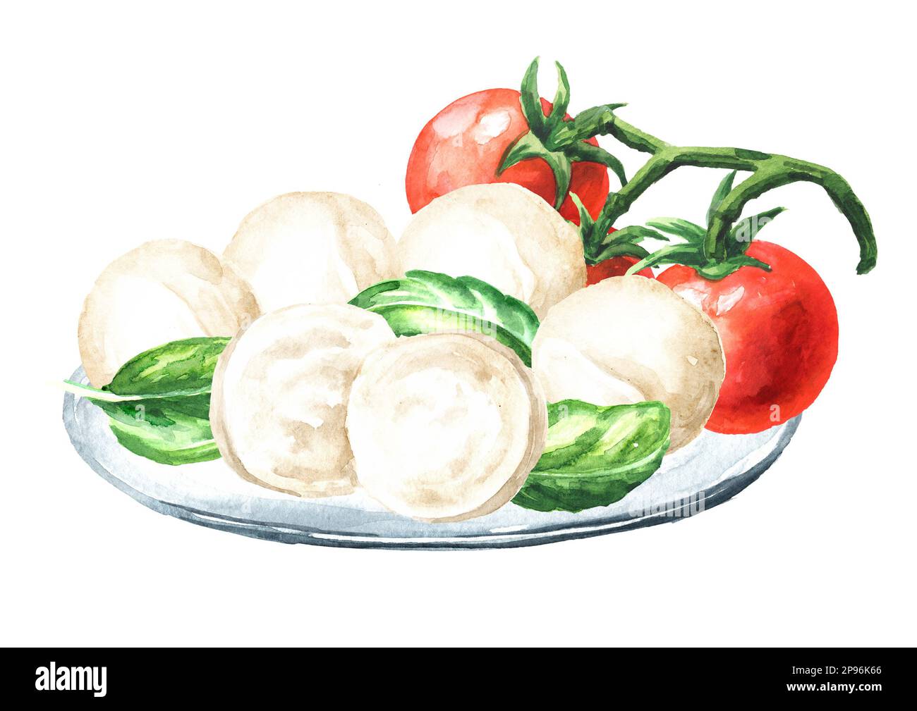 Mozzarella soft cheese. Hand drawn watercolor illustration, isolated on ...