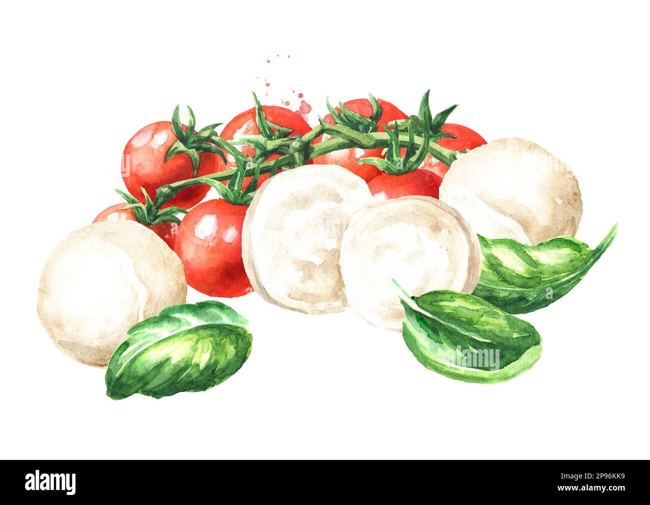 Mozzarella soft cheese. Hand drawn watercolor illustration isolated on ...