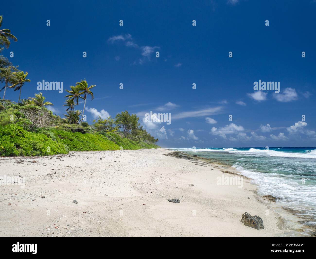 Tahiti island palm beach, French Polynesia Stock Photo - Alamy