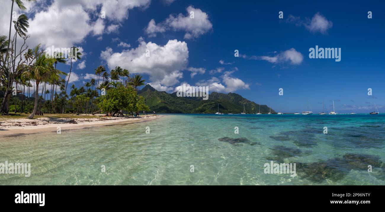 Tahiti island nature landscape, French Polynesia Stock Photo - Alamy