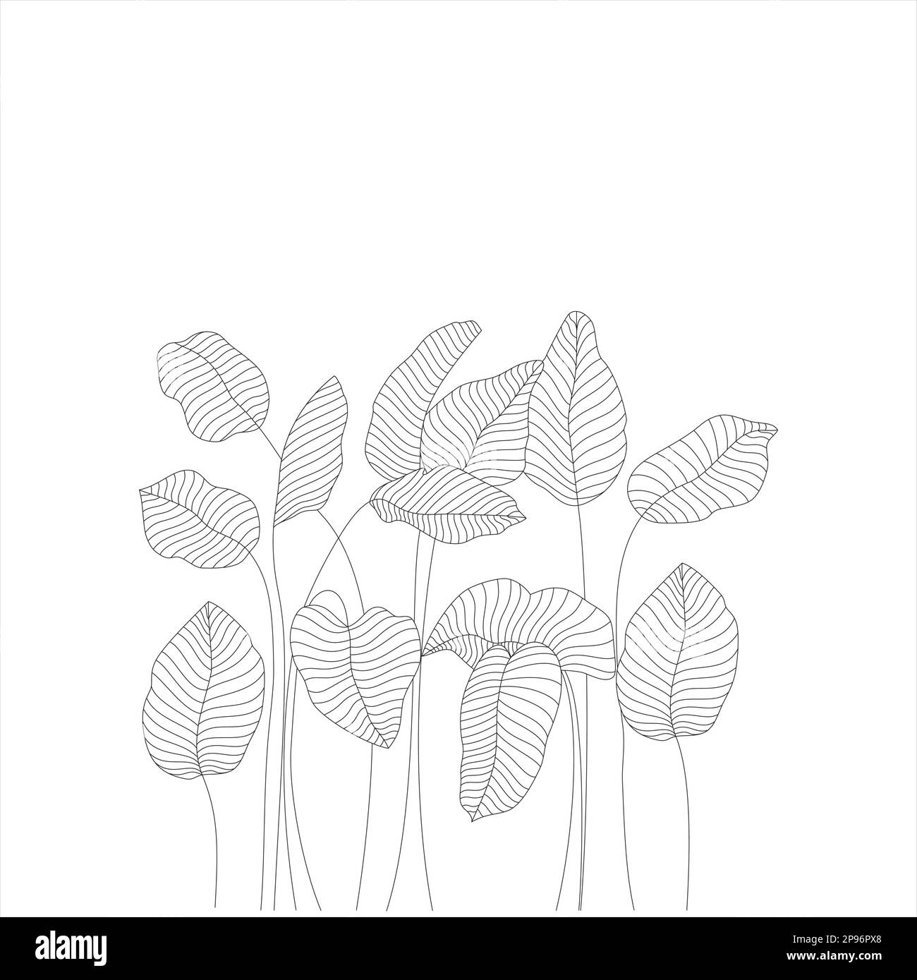 Black white graphic tropical Black and White Stock Photos & Images - Alamy