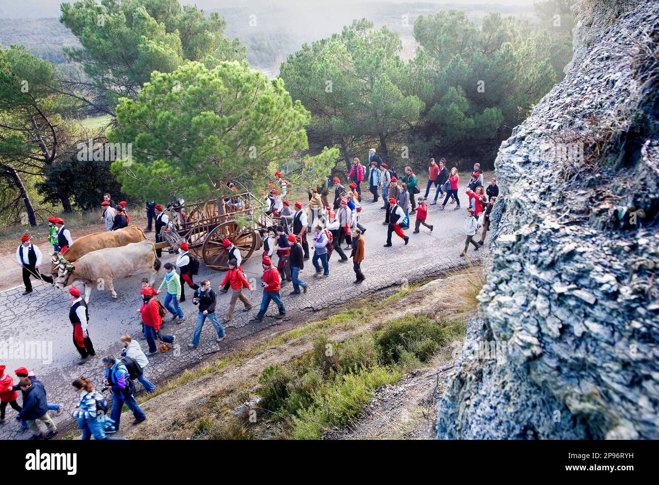 Pine festival, Centelles, Barcelona province, Catalonia, Spain Stock ...