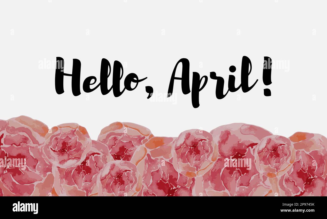Abstract background with watercolor pink flowers. Hello April lettering ...