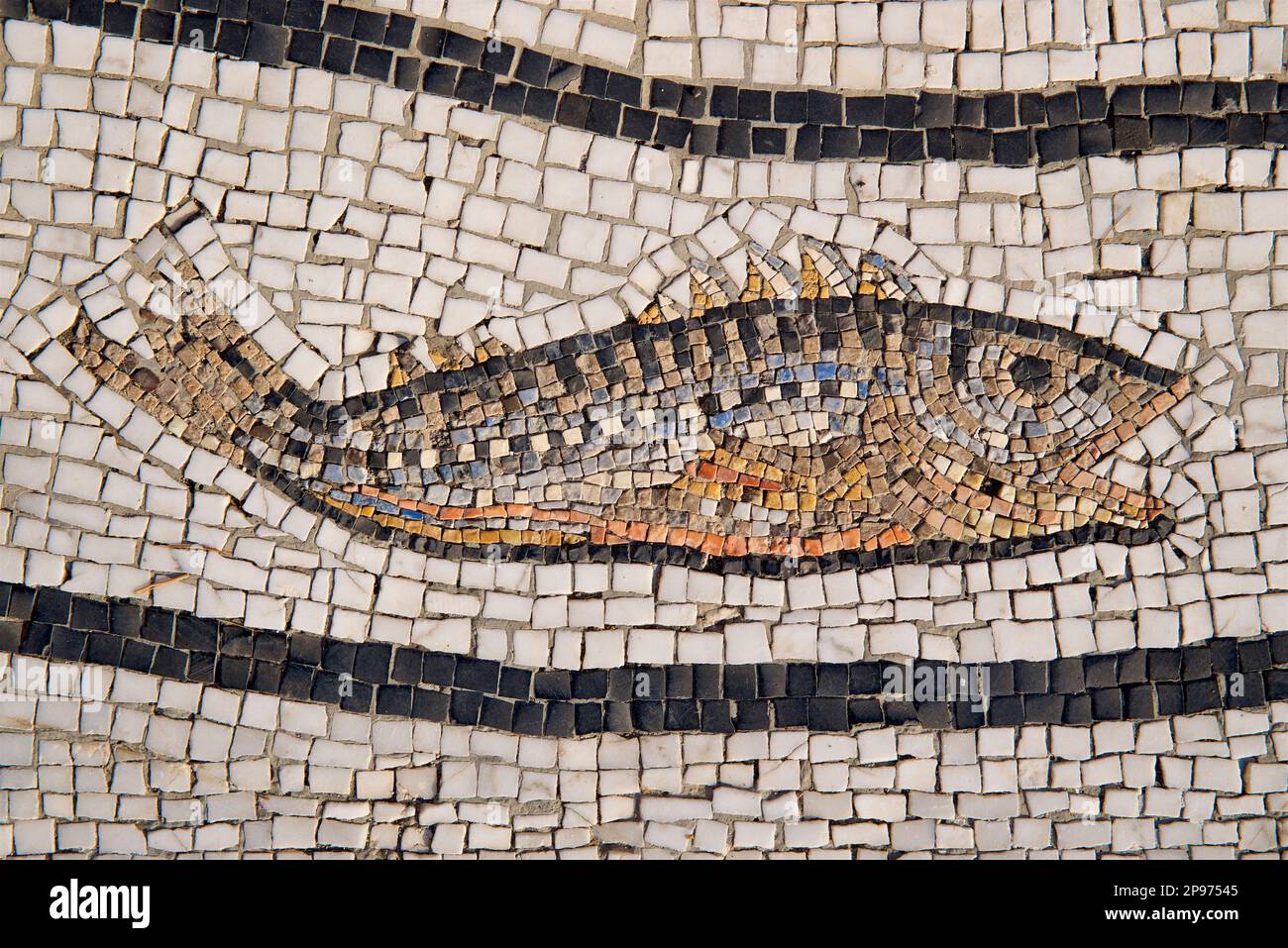 Mosaic of a fish set in the ground in front of the Chiesa di Santa ...