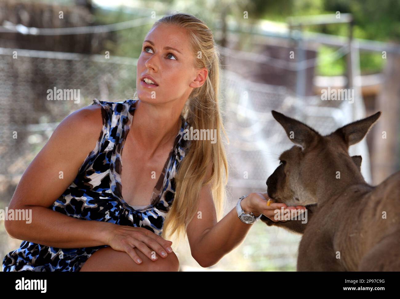 Russia's Elena Dementieva poses for a photo with a couple of kangaroos during a visit to ...