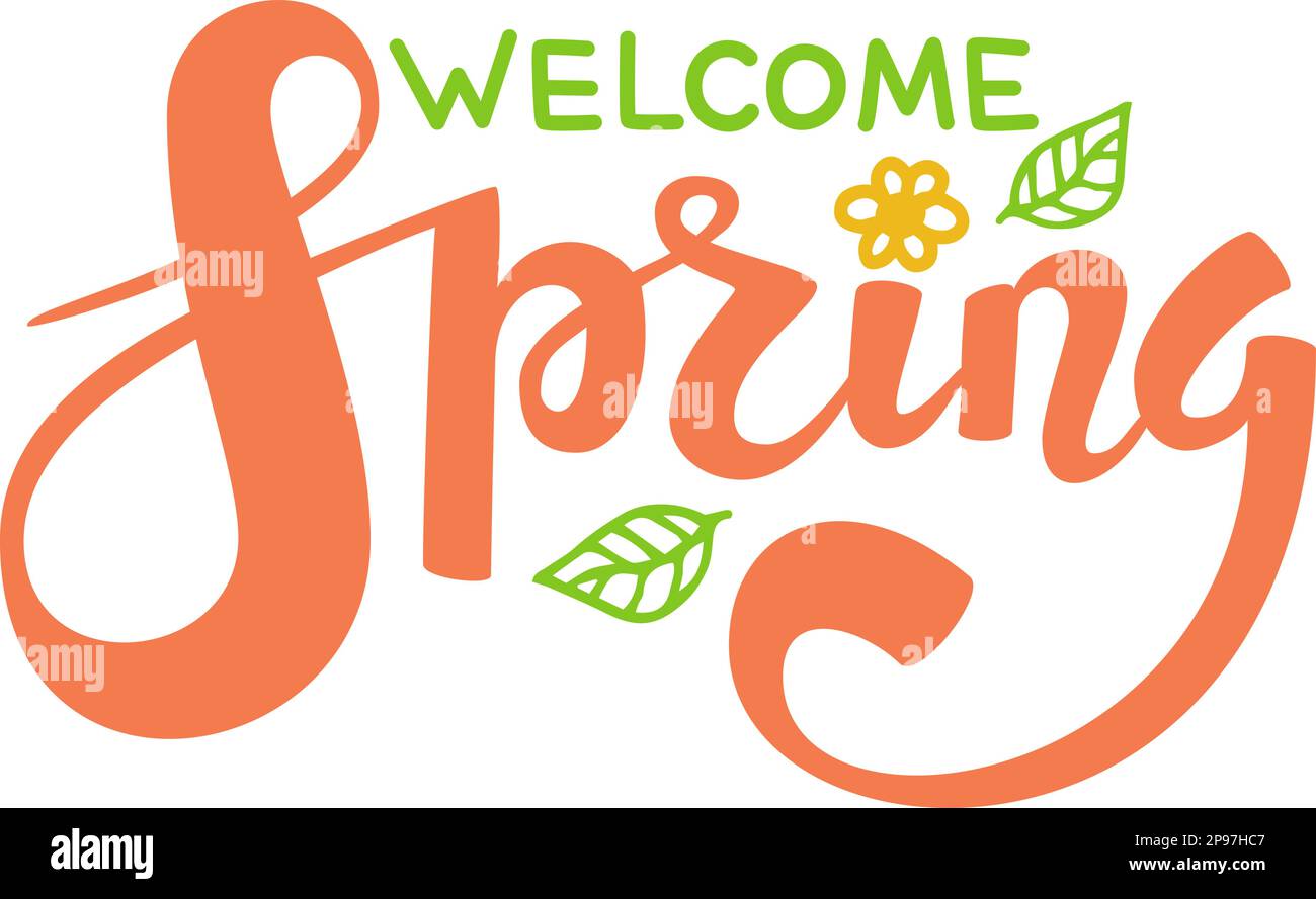 Hello Spring quote hand drawn calligraphy with brush pen lettering ...