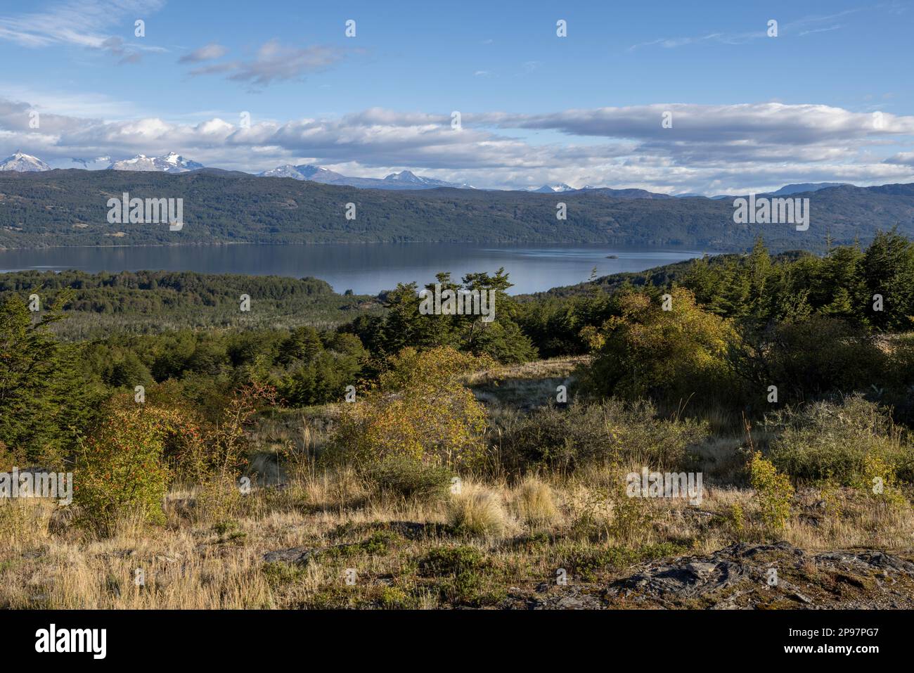 Cochrane river patagonia chile hi-res stock photography and images - Alamy
