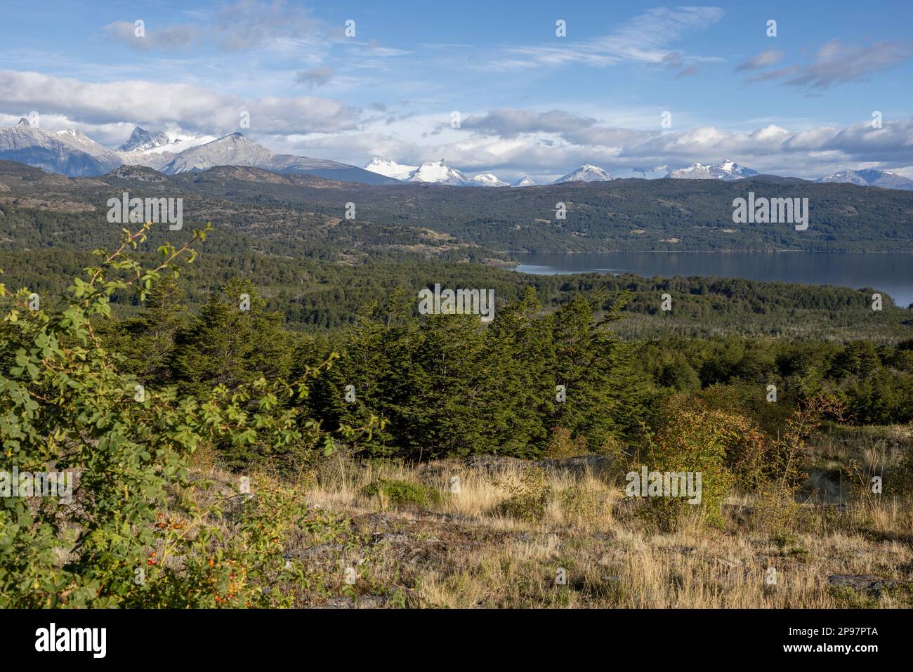 Cochrane river patagonia chile hi-res stock photography and images - Alamy