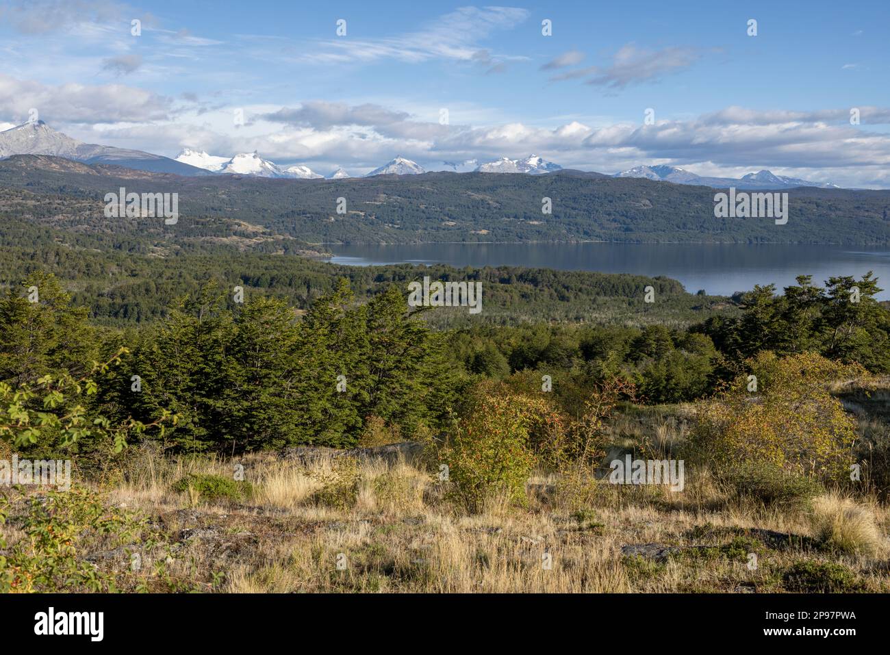 Cochrane river patagonia chile hi-res stock photography and images - Alamy