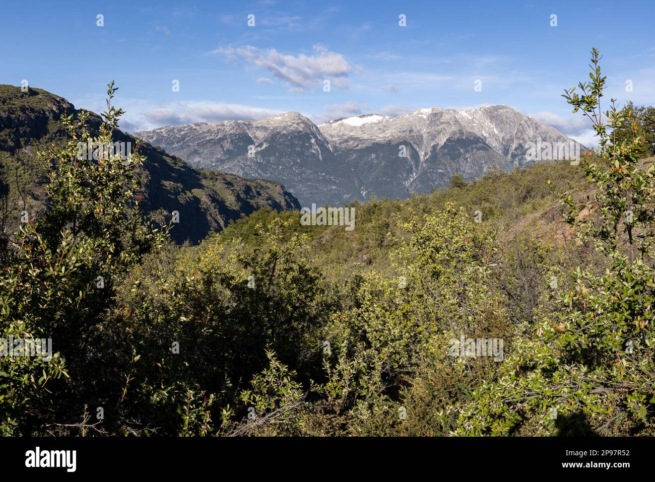 Chilean Patagonia in summer Stock Photo - Alamy