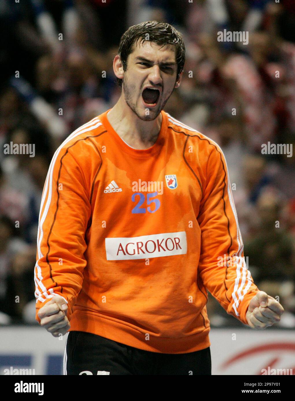 Croatia's goalkeeper Mirko Alilovic reacts during the Group B match ...