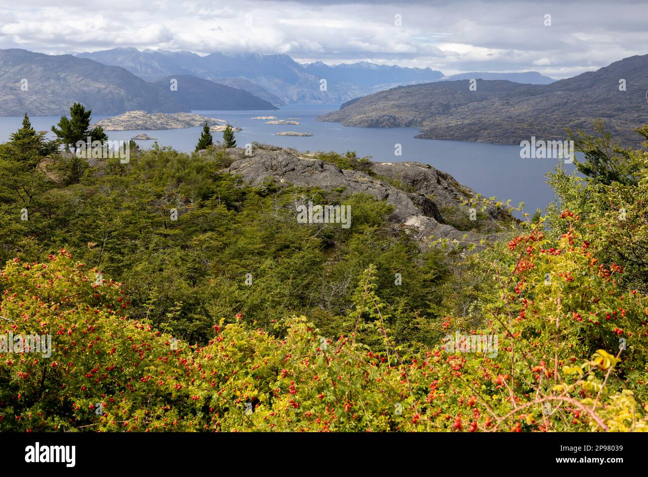 Cochrane hi-res stock photography and images - Alamy