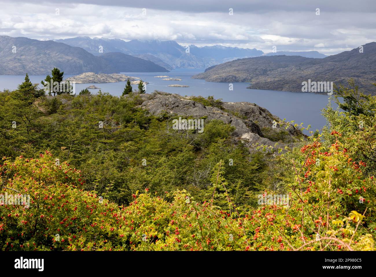 Cochrane lake hi-res stock photography and images - Alamy