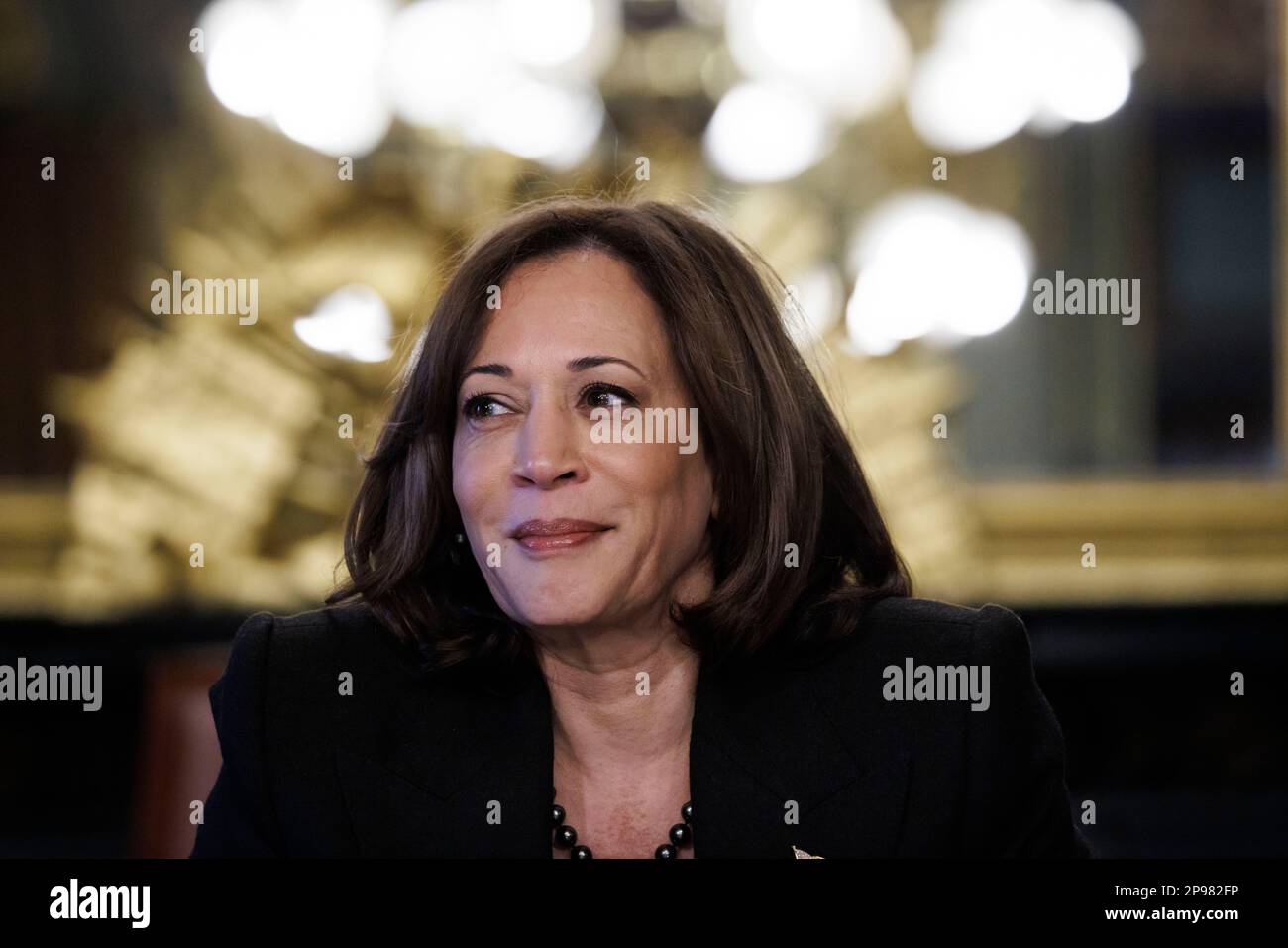United States Vice President Kamala Harris during a roundtable meeting ...