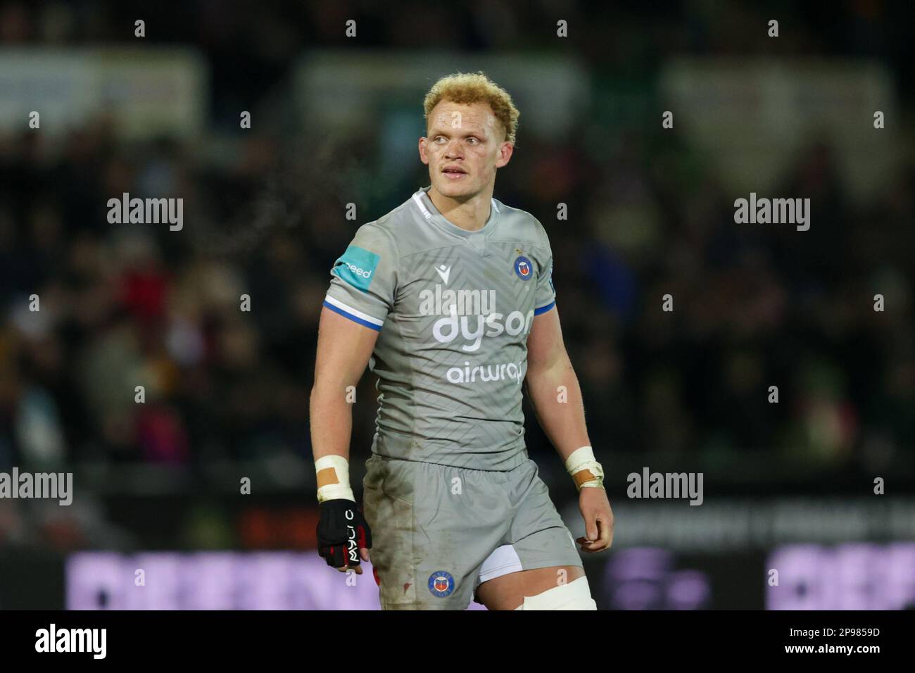 Franklins gardens hi-res stock photography and images - Alamy