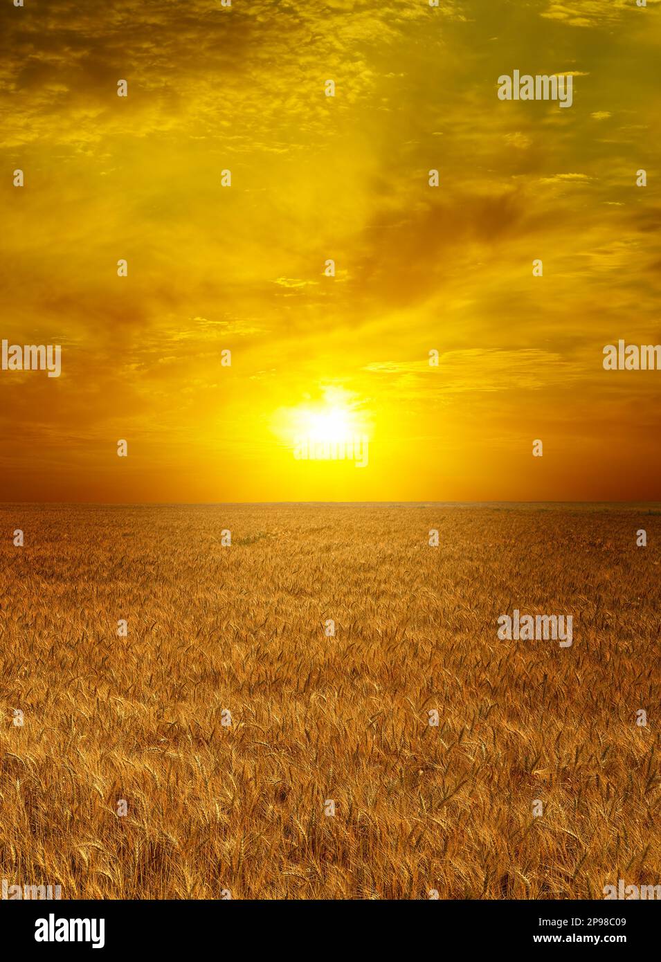 Bright sun over countryside hi-res stock photography and images - Alamy