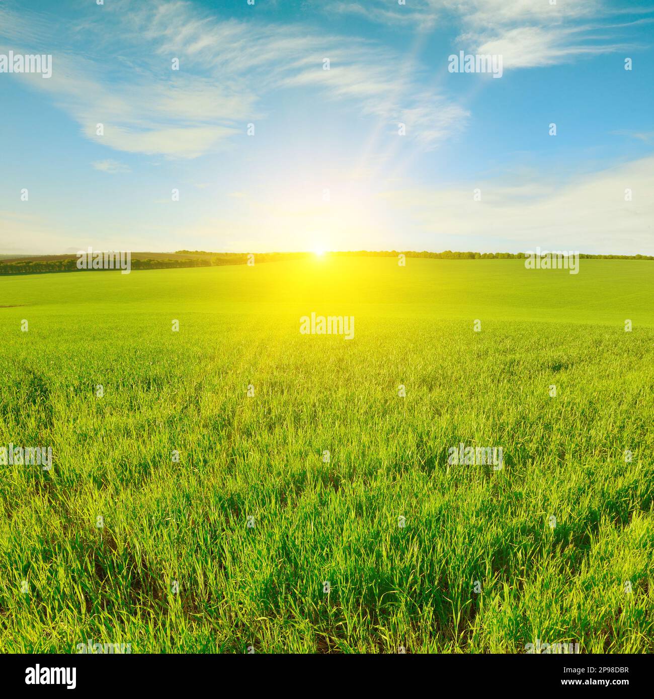 Harvest at dawn hi-res stock photography and images - Alamy