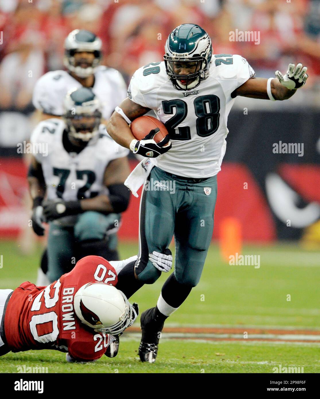Philadelphia Eagles running back Correll Buckhalter runs with the ball ...