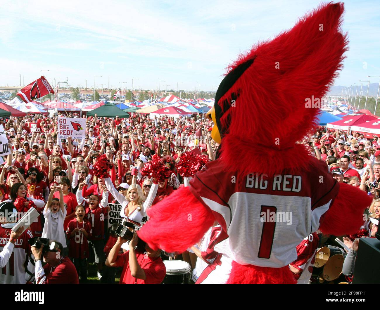 Big Red, the Arizona Cardinals' mascot is seen during a pep rally ...