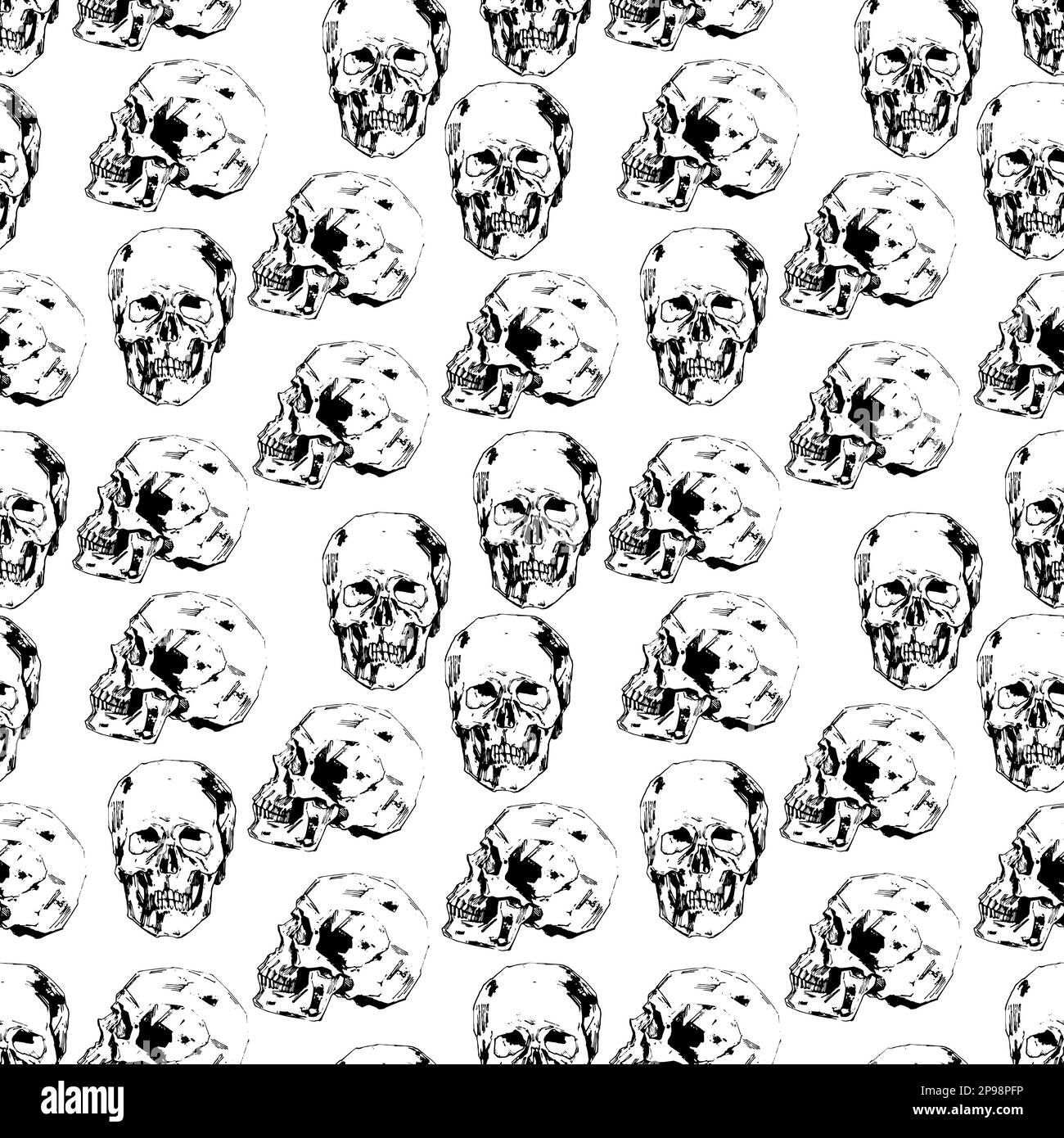 Hand-painted Human skull vector illustration at ink style. Seamless ...