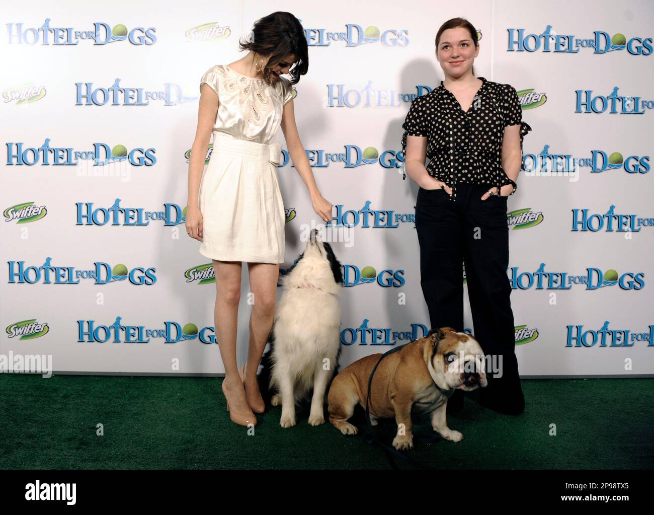 Hotel For Dogs Cooper