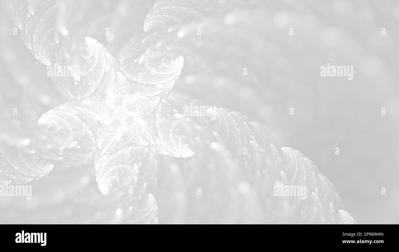 White abstract starfish sea creature wallpaper background. Elegant ...