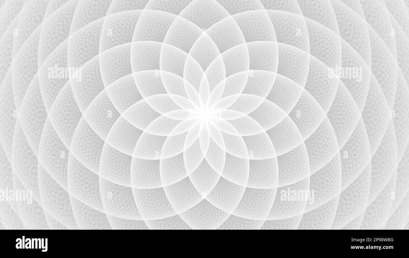 White abstract geometric flower wallpaper background. Elegant minimal ...