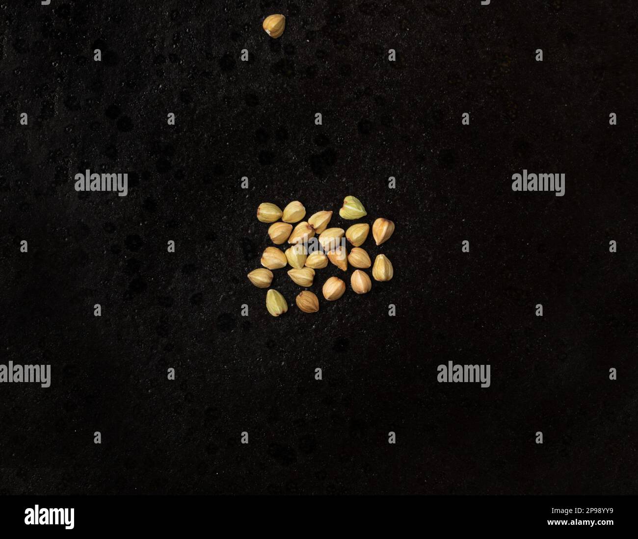 Raw Green Buckwheat Seeds on Black Plate Isolated, Dry Buck Wheat ...