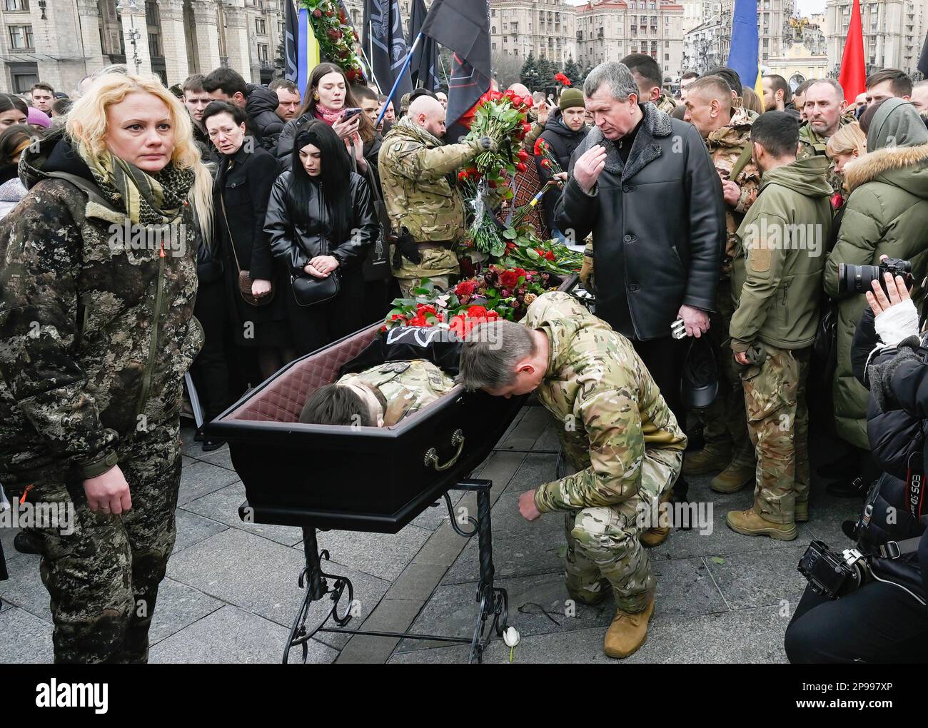 Da vinci wolves hi-res stock photography and images - Alamy