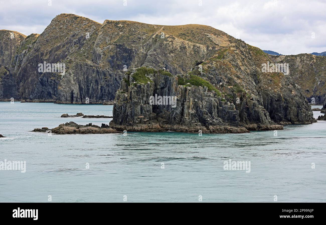 Cook strait new zealand hi-res stock photography and images - Alamy