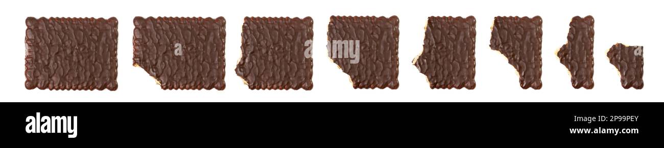 Eating Biscuit Coated in Dark Chocolate Isolated, Crumbled Square ...