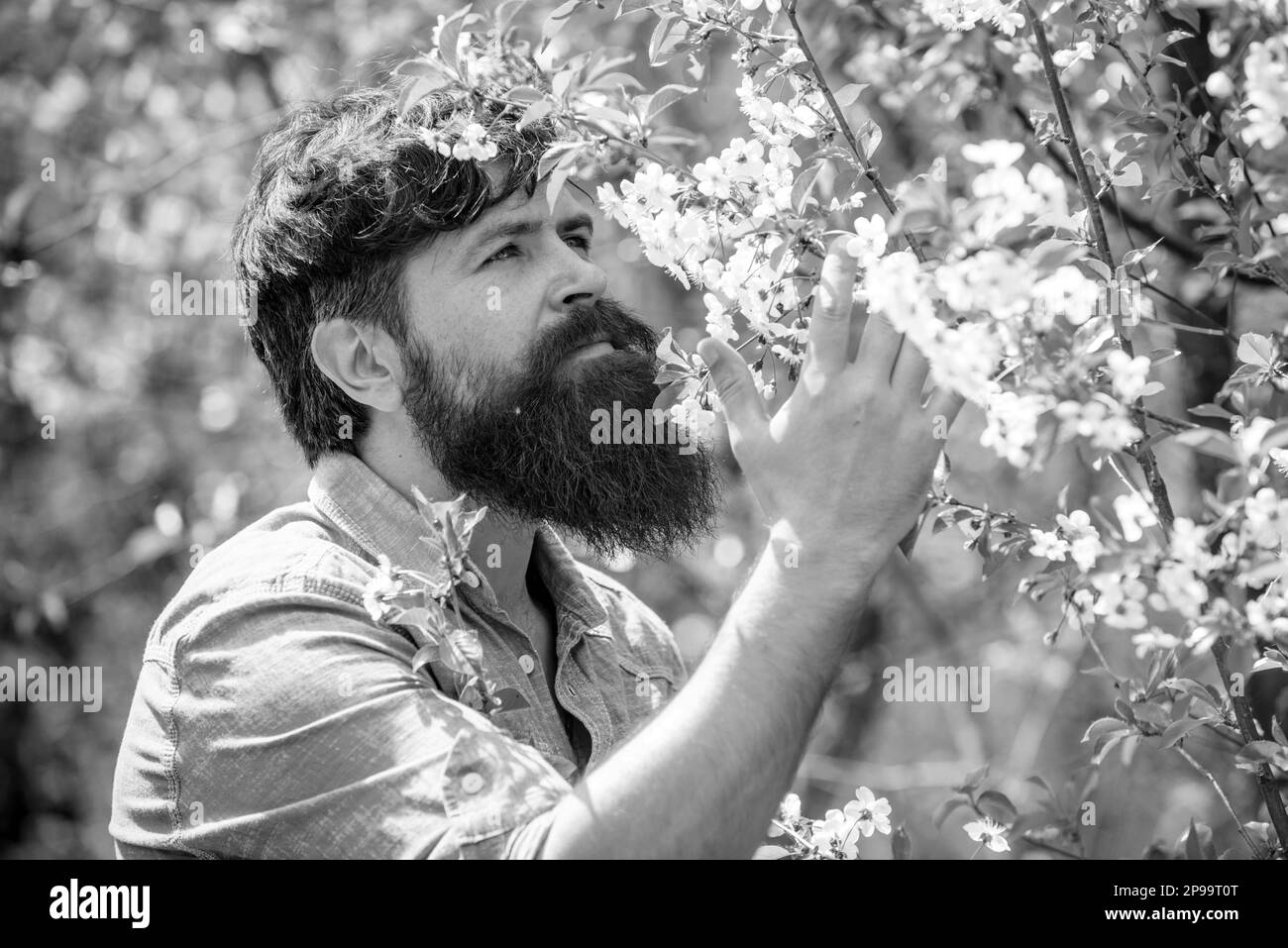 Spring. Father spend time in the farm. Planting concept. Farmer on ...