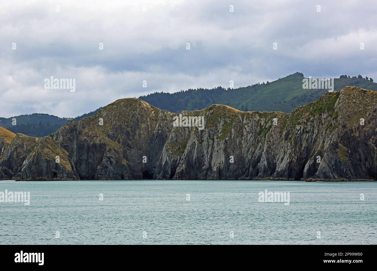 Cliffs of south island - Cook Strait - New Zealand Stock Photo - Alamy