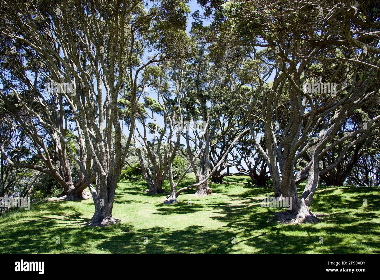 Drury reserve hi-res stock photography and images - Alamy