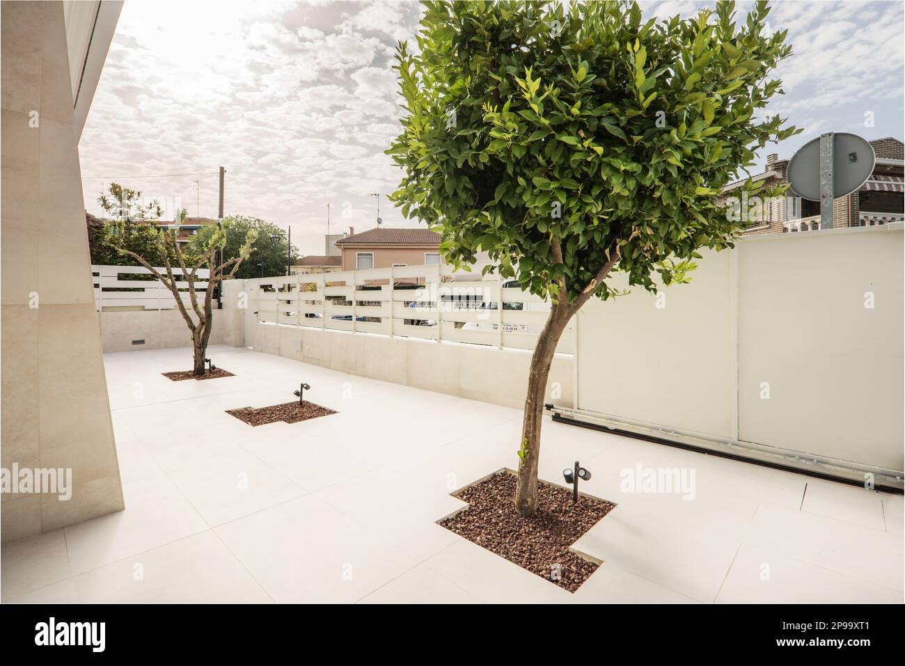 A white marble patio with tree pits and trees planted in them Stock ...