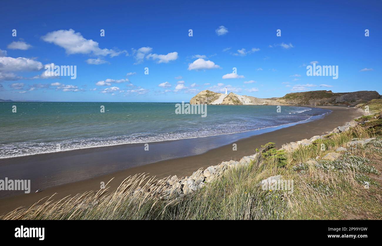 Castlepoint beach hi-res stock photography and images - Alamy