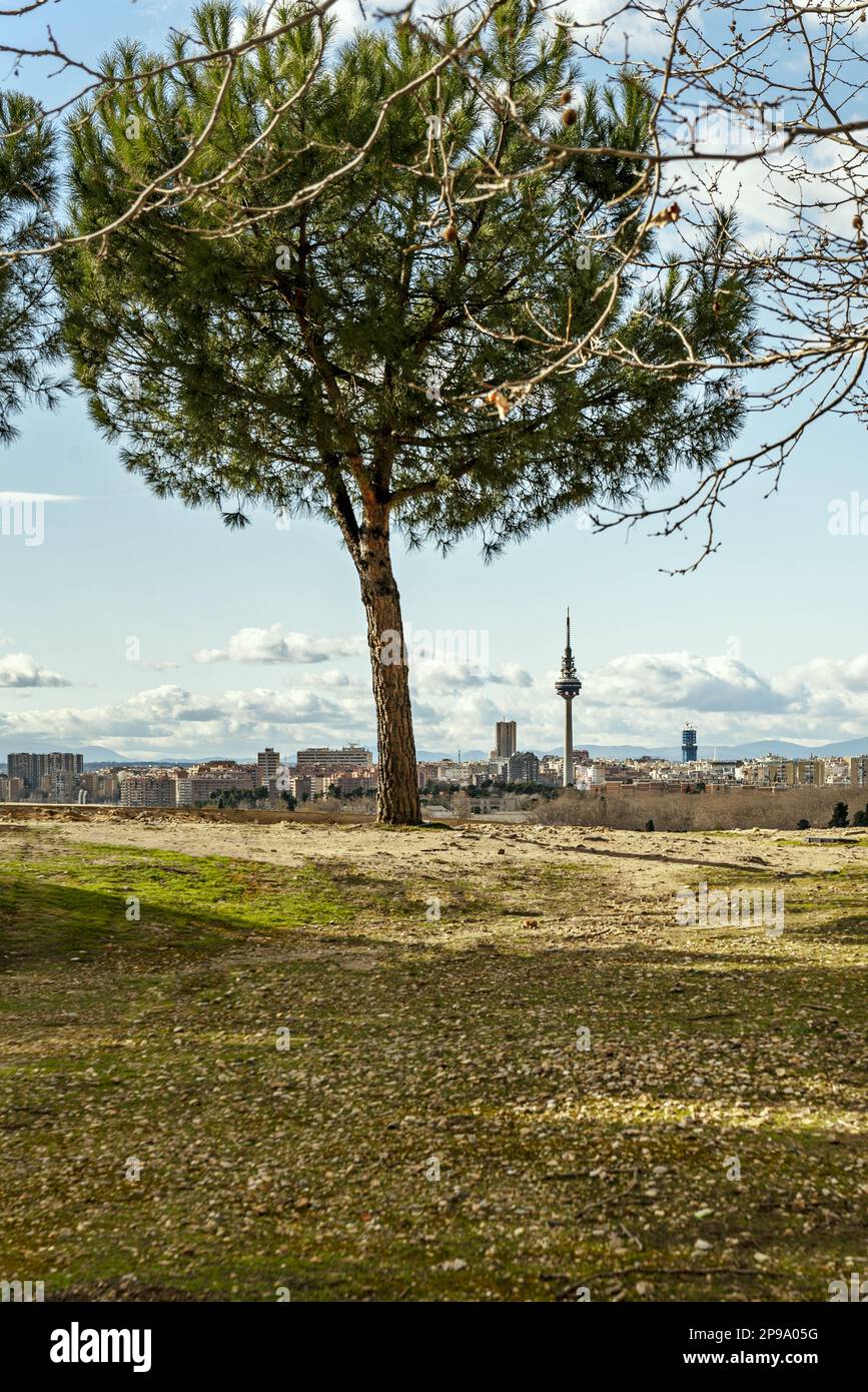 the city of Madrid with its TV tower called El Piruli seen from a park ...