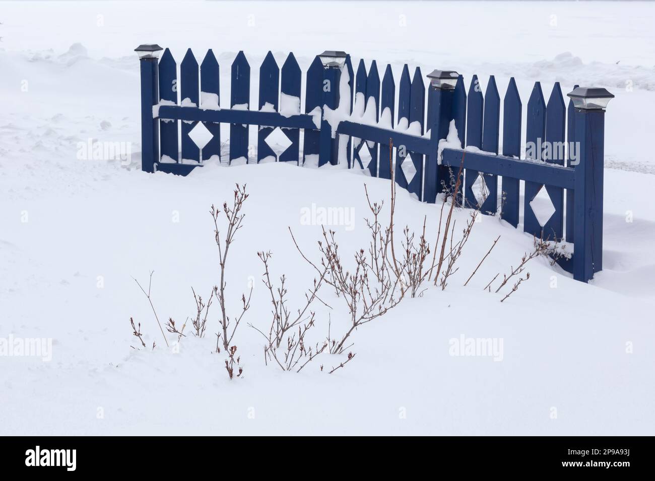 The front yard fence shows up vividly against the snowy wasteland of ...
