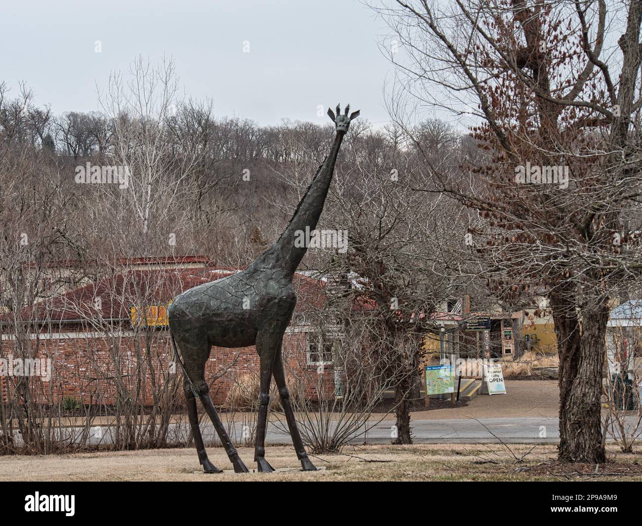 Kansas City, Missouri - March 4, 2023 -Giraffe statue at the Kansas ...