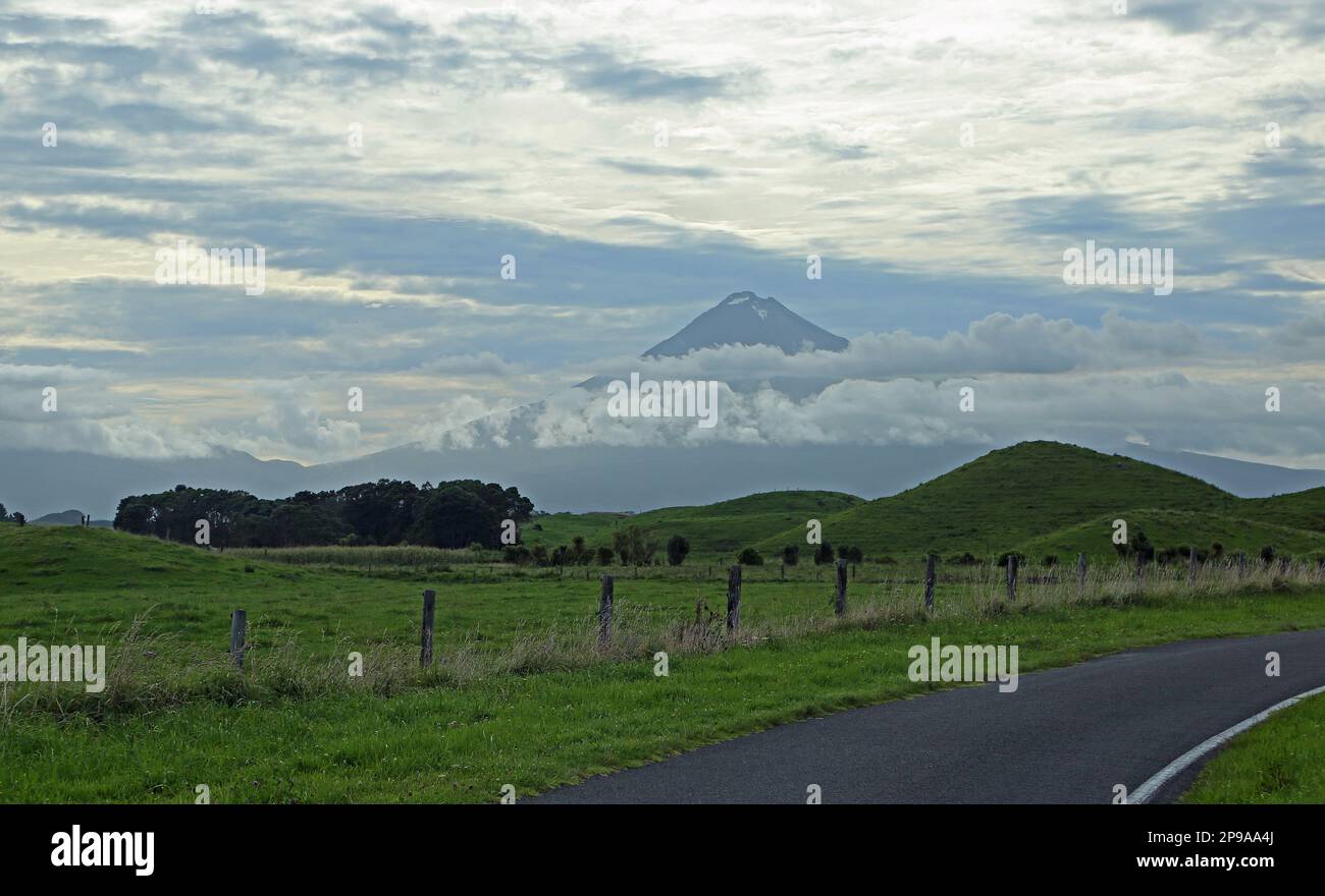 A pasture and Taranaki volcano - New Zealand Stock Photo - Alamy