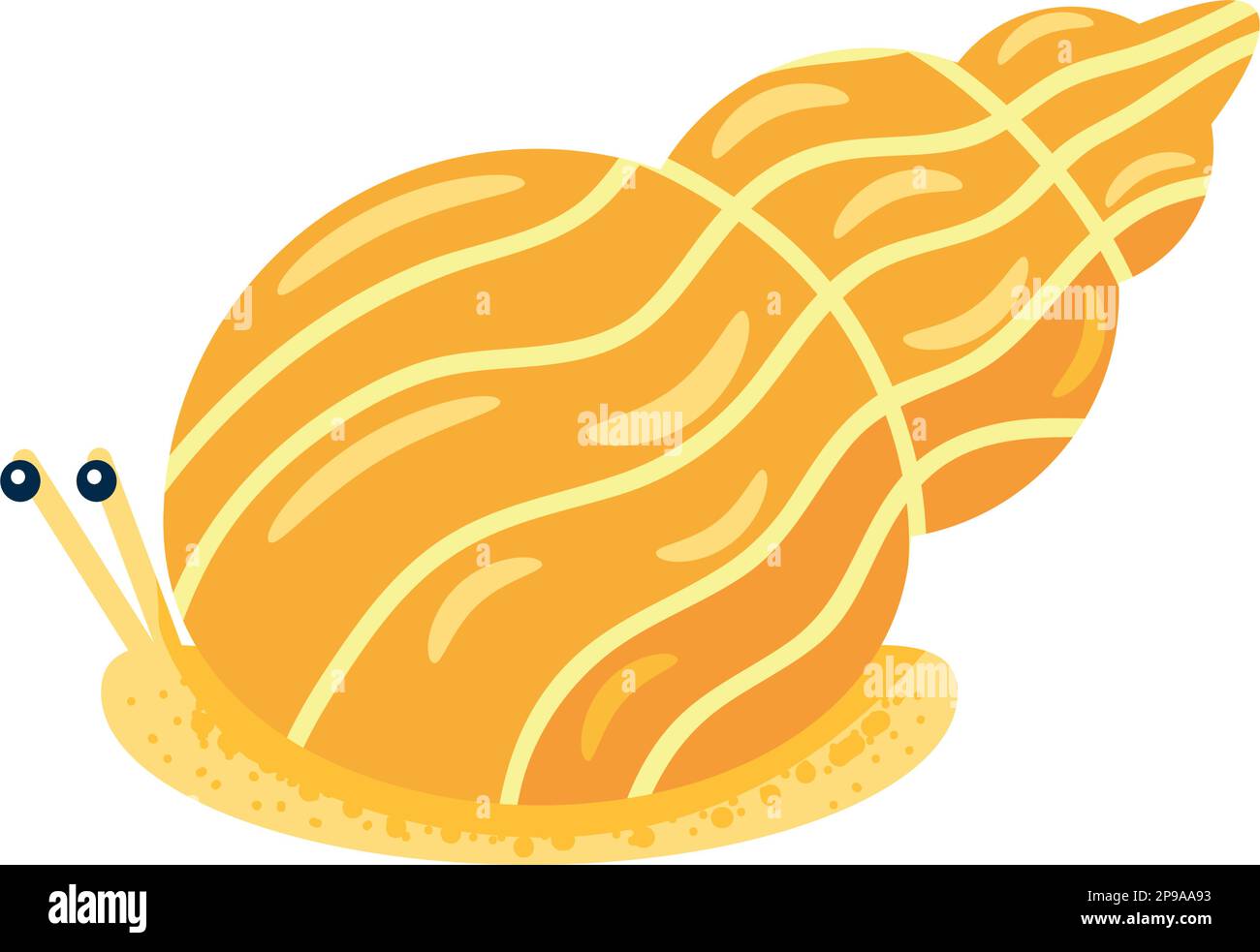 snail aquatic animal Stock Vector Image & Art - Alamy